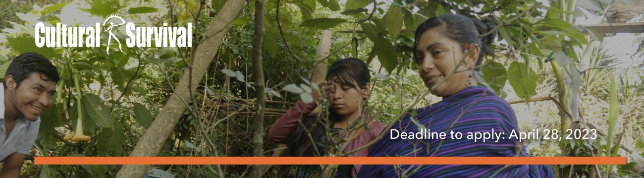 Calling Indigenous Youth Land and Life Defenders | Cultural Survival